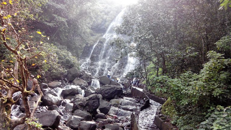 Amboli Ghat Monsoon Tour - Treks and Trails India
