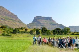 Salher Fort Archives - Treks and Trails India