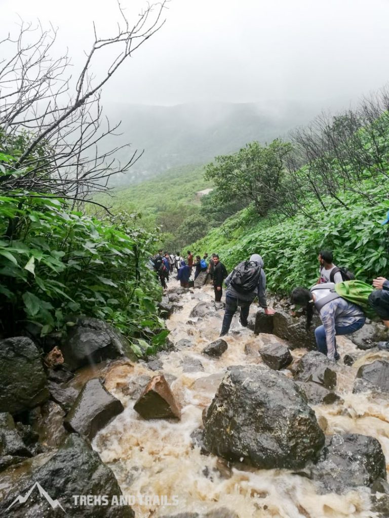 Visapur Fort Trek Blog - Treks and Trails India