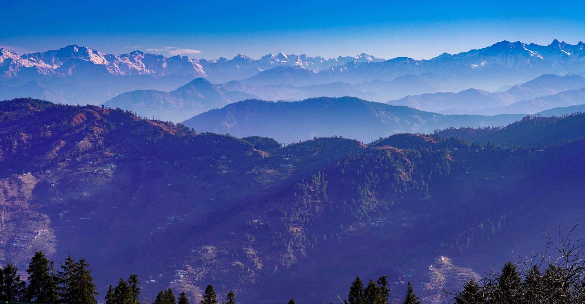 Hatu Peak Trek Narkanda - Treks and Trails India