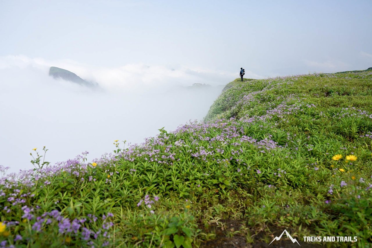 Kalavantin Durg Trek | Treks and Trails India
