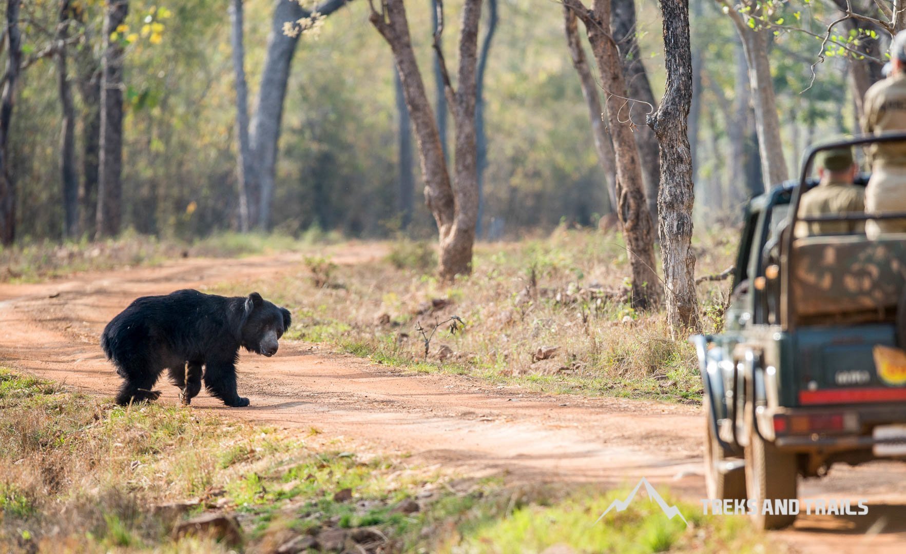 Satpura National Park | Treks and Trails India
