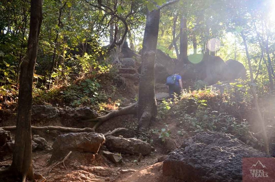 Garbett Point Night Trek | Rs 799 | Treks and Trails India