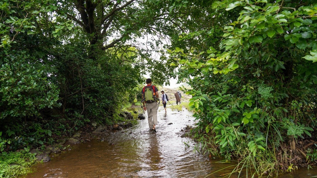 Trekking near me | Treks and Trails India