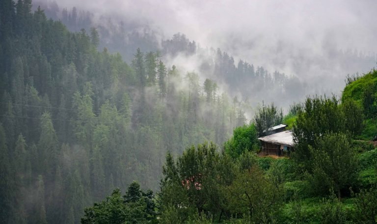 Hatu Peak Trek With Camping, Narkanda