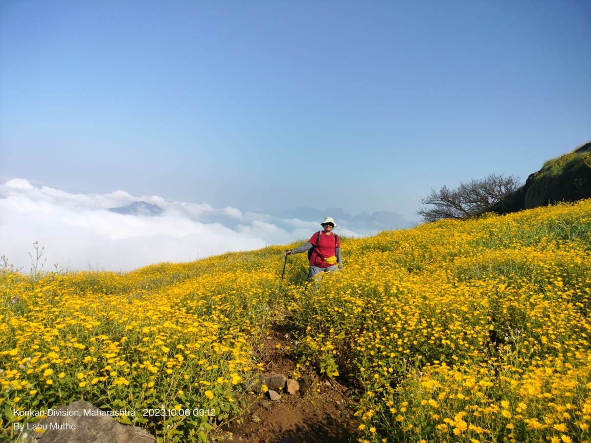Ratangad Trek from Pune | Treks and Trails India