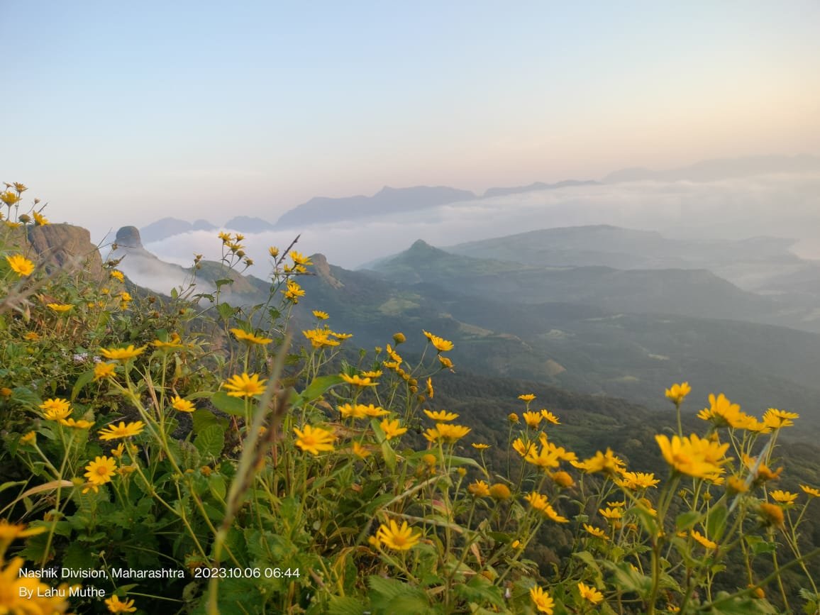 Ratangad Trek from Pune | Treks and Trails India