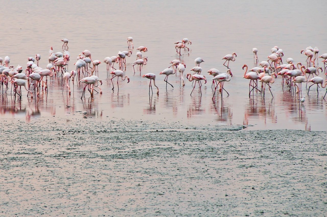 Shilonda Trail Borivali National Park